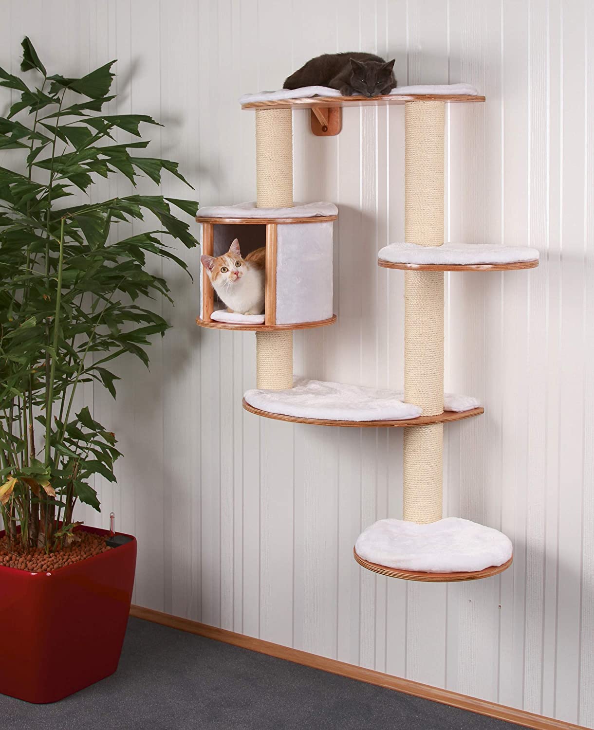 Les meilleurs arbres à chat muraux pas cher